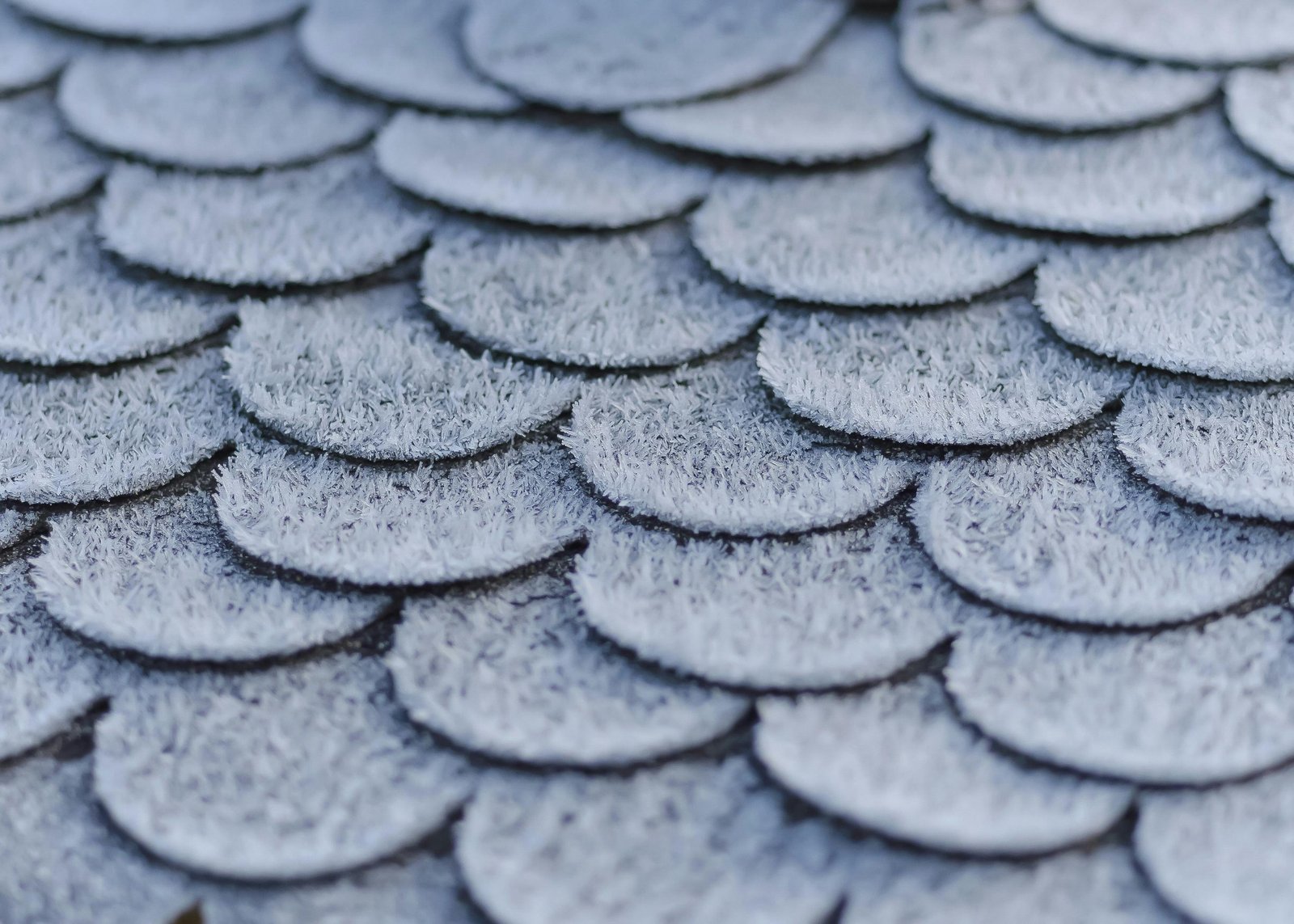 What Is 3 Layer Torch Down Roofing? A Simple Guide for Homeowners